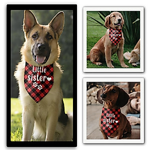 Little Sister Dog Bandana Pregnancy Announcement Gender Reveal Dog Bandana Photo Prop Pet Scarf Accessories for Pet Dog Lovers Gifts