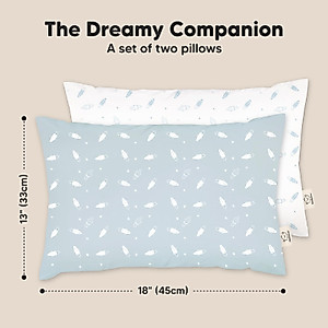 2-Pack Toddler Pillow - Soft Organic Cotton Toddler Pillows for Sleeping - 13X18 Small Pillow for Kids - Kids Pillows for Sleeping - Kids Pillow for Travel, School, Nap, Age 2 to 5 (Spacecrafts)