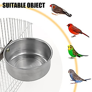 TWUTGAYW 2 Pack Bird Feeding Dish Cups, Stainless Steel Parrot Food Bowl Feeding Food Water, Bird Feeder Bowl for Parakeet African Greys Conure Cockatiels Lovebird Budgie Chinchilla
