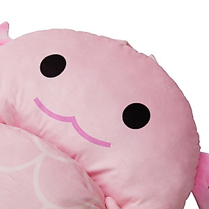 Nap Buddy Sleeping Bag for Kids, Convertible Sleeping Bag for Boys and Girls, Oeko TEX Certified, Travel Sleeper for Children, Axolotl