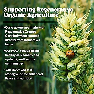 Patagonia Provisions - Toasted Cheeze - Certified Organic Crackers - Non-GMO, Plant-Based, No Added Sugar