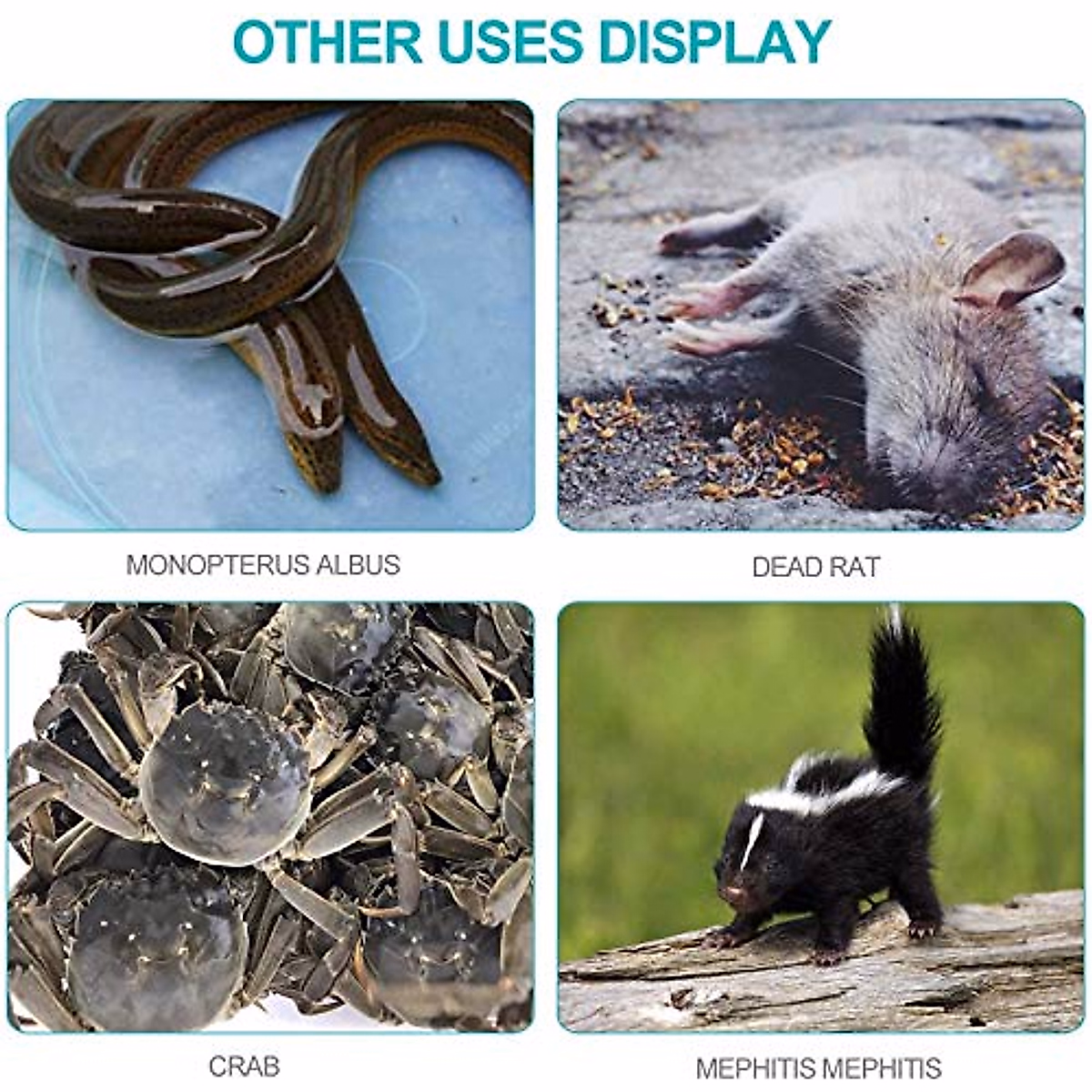 GYORGKSHI 47" Extra Heavy Duty Snake Tongs Reptile Grabber Catcher Wide Jaw Handling Tool