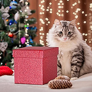 UNIQOOO 5Pcs Red Glitter Christmas Gift Box Set with Lid, Assorted Size, Square Nested Wedding Keepsake Boxes, Holiday Paper Box Tower Organizer For Birthday Party, Mother's Day Gift Wrap Packaging