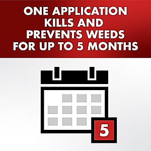 Spectracide One-Shot Weed & Grass Killer with AccuShot Sprayer, 1 Gallon, One Application Kills and Prevents Weeds for up to 5 Months