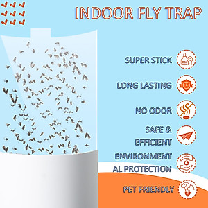 SHIELDFLY | Fly Trap Indoor, Gnat Killer Indoor, Fly Traps Indoor for Home, Highly Effective UV Light, Flying Insect Trap, Flies, Fruit Flies, Gnats & Other Flying Insects (1 Device + 4 Cartridges)