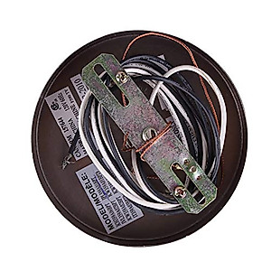 Cannon Safe CANARM LTD. IPL359A01BPT Margo 1 Bulb Mini Pendant Light, Brushed Pewter