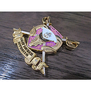 Oneworldtreasures USN Goat Locker Approved Deckplate Certified Female Navy Chief CPO Pink Challenge Coin