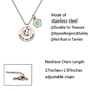 FUSTMW Ohana Necklace You’re My Ohana Pendant Hibiscus Flower Necklace Gifts for Family Best Friends (rose gold)