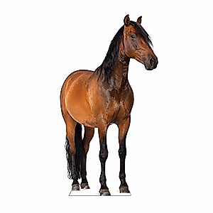 Cardboard People Horse Life Size Cardboard Cutout Standup