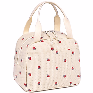 LEDAOU Lunch Box for Women Insulated Lunch Bag Corduroy Lunch Tote Bags Leakproof Cooler Lunch Case for Travel Work Picnic