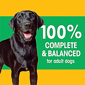 Pedigree Healthy Weight Adult Dry Dog Food Roasted Chicken & Vegetable Flavor Dog Kibble, 14 lb. Bag