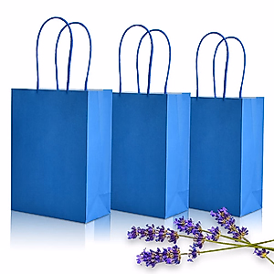 BEISHIDA Small Gift Bags Party Favor Bags Paper Gift Bags Blue Gift Bags with Handles Birthday Gift bags (6.5 x 4.5 x 2.5 Inch, 20PCS)