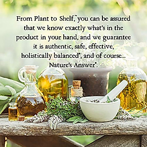 Nature's Answer Oil of Oregano Capsule Softgels, 90-Count | Natural Immune Booster | Promotes Healthy Digestion & Gut Flora