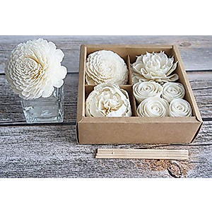 Mixed White Sola Flower with Cotton Wick Diffuser Set Replacement for Home Fragrance by Plawanature