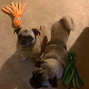 PLEACCOM Dog Squeaky Toys Octopus, No Stuffing Crinkle Plush Dog Toys for Puppy Teething, Durable Interactive Dog Chew Toys for Small to Medium Dogs Training and Reduce Boredom (2 Pack)