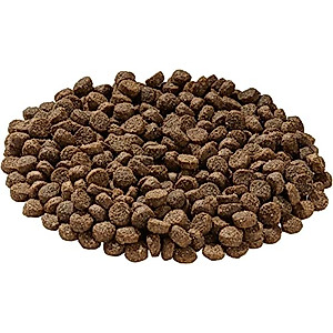 Health Extension Dry Dog Food, Natural Food for All Puppies & Dogs with Added Vitamins & Mineral, Lamb & Brown Rice Recipe (30 lb / 13.6 Kg)