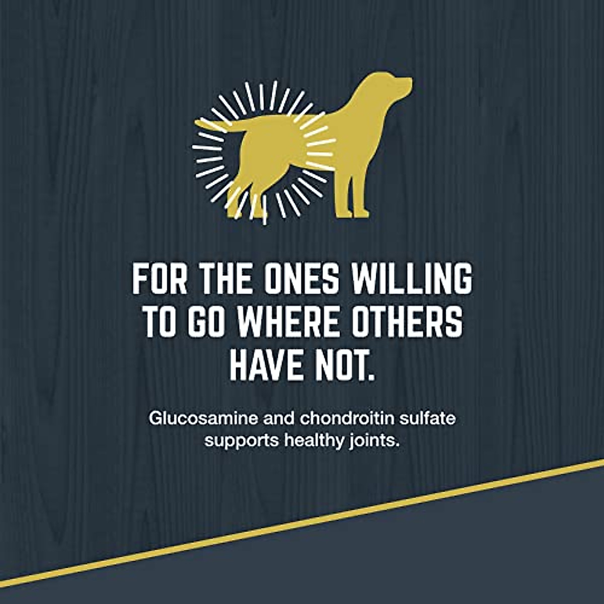 Black Gold Explorer Dry Dog Food for Adult Dogs, Original Performance 26/18 Formula, 50 lb Bag