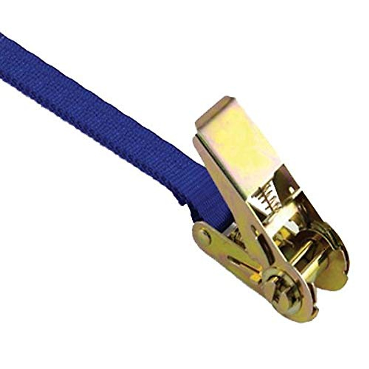 PROGRIP 309610 Cargo Tie Down Standard Duty Ratchet with Webbing Strap and No Hook on End, 12' x 1"