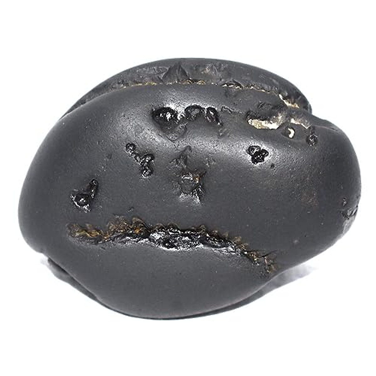 Rudrakshguru Laxmi Narasimha Shaligram - Gandaki River Nepal