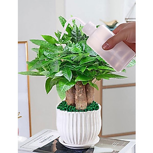 HOOMBOOM 2Pcs Tattoo Wash Bottle 250ml | 8oz Water Squirt Bottle Succulent Watering, Safety Rinse Bottle Watering Tools for Medical Succulent Cleaning Washing Bottle White