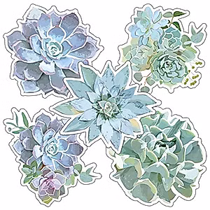 Schoolgirl Style Simply Stylish 36 Piece Botanical Succulents Bulletin Board Cutouts, Succulent Plant Bulletin Board Decorations, Greenery Accents, Classroom Décor