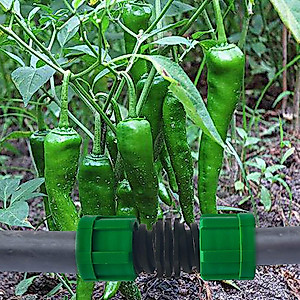 Alovexiong 10 Pieces Drip Irrigation Coupling, 5/8 Inch Universal Connector Drip Tubing Fittings, Compatible with Most 16-17 mm Drip Tape AG Tubing Drip or Sprinkler Systems