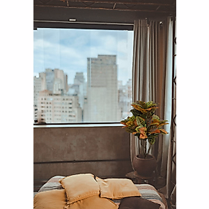 2PCS Artificial Croton Plant, Faux Fiddle Leaf fig Tree,Artificial Trees for Home Decor,Floor Plant,Front Porch Plants with Plastic Pot, Faux Ficus Lyrata Tree,35inch