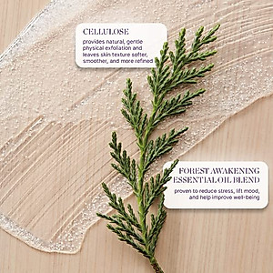 Tatcha Forest Awakening Hinoki Body Wash: Soft Exfoliating Scrub, 200 ml | 6.8 fl oz