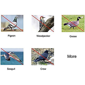 Dele Bird Scare Discs,24pcs Highly Reflective Double-Sided Bird Scare Devices, Decoration Product to Scare Away Birds