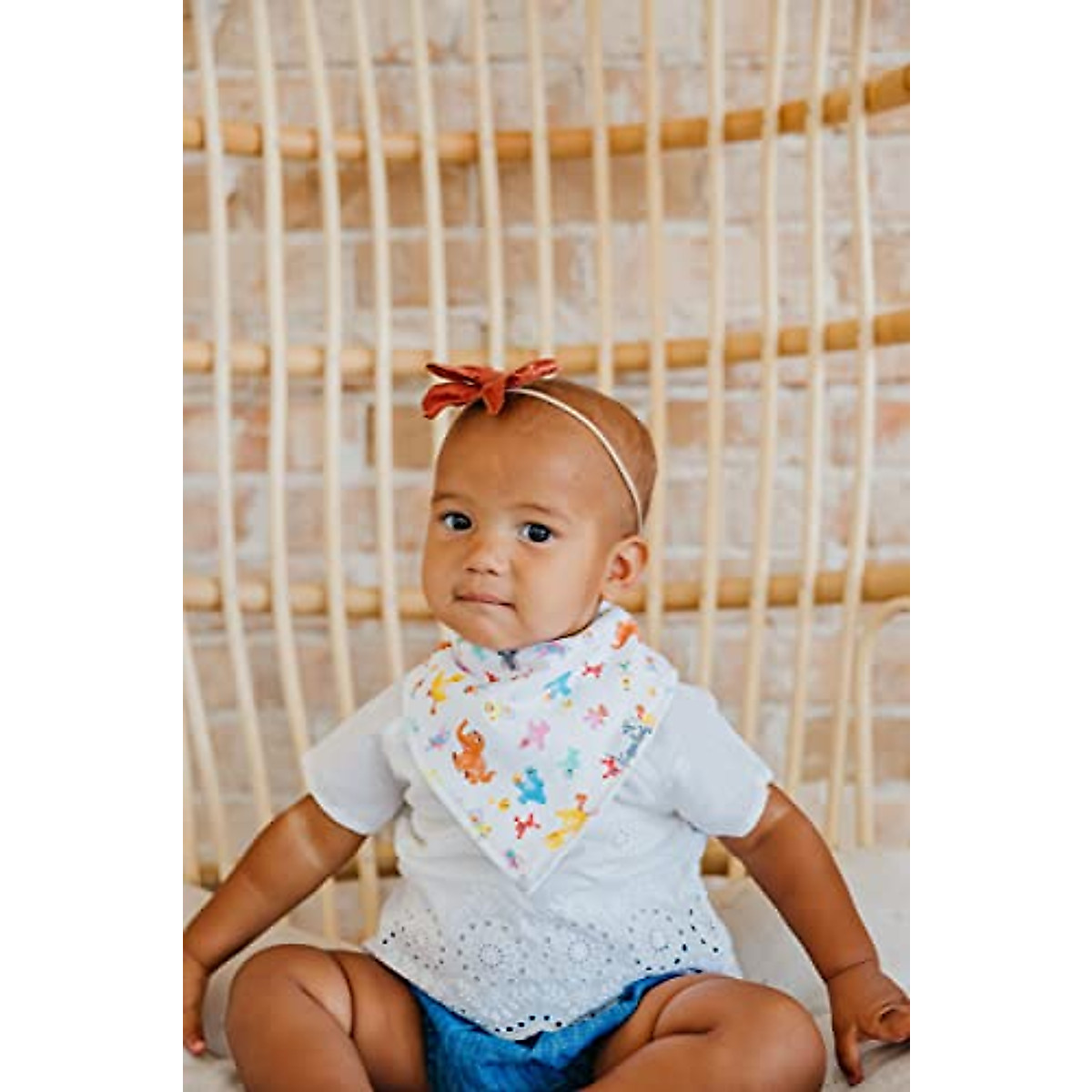 Copper Pearl Baby Bandana Drool Bibs for Drooling and Teething 4 Pack Gift Set Abby and Pals, Soft Set of Cloth Bandana Bibs for Any Baby Girl or Boy, Cute Registry Ideas for Baby Shower Gifts