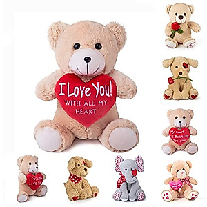 GSUIVER 10" Valentine's Day Valentines Gift for Children Kids, Girlfriend, Boyfriend, Plush Stuffed Animal (I Love You with All My Heart)