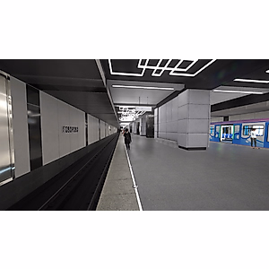 Metro Simulator (PS4)