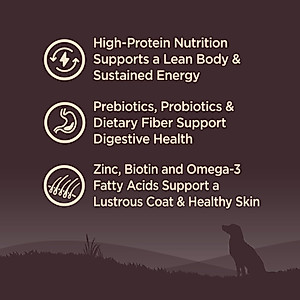 Wellness CORE Grain-Free High-Protein Dry Dog Food, Natural Ingredients, Made in USA with Real Meat, All Breeds, For Adult Dogs (Lamb, 22-Pound Bag)