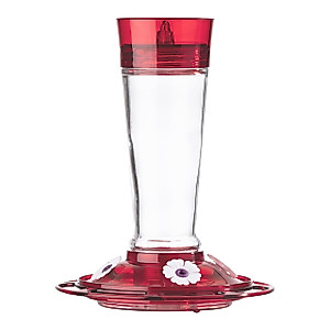 More Birds Bird Health+ Ruby Hummingbird Feeder, Glass Hummingbird Feeders for Outdoors, 4 Feeding Stations, 10 Ounces