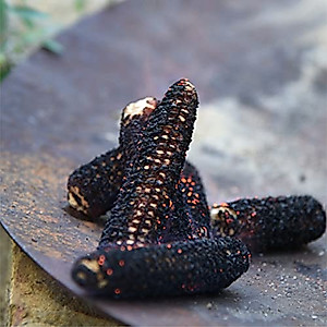 FIRECORN Fire Starter - All Natural Instant Firestarter for BBQ, Campfire, Pizza Oven, Firepit, Charcoal, Briquette - 1 Bag (200 Grams)