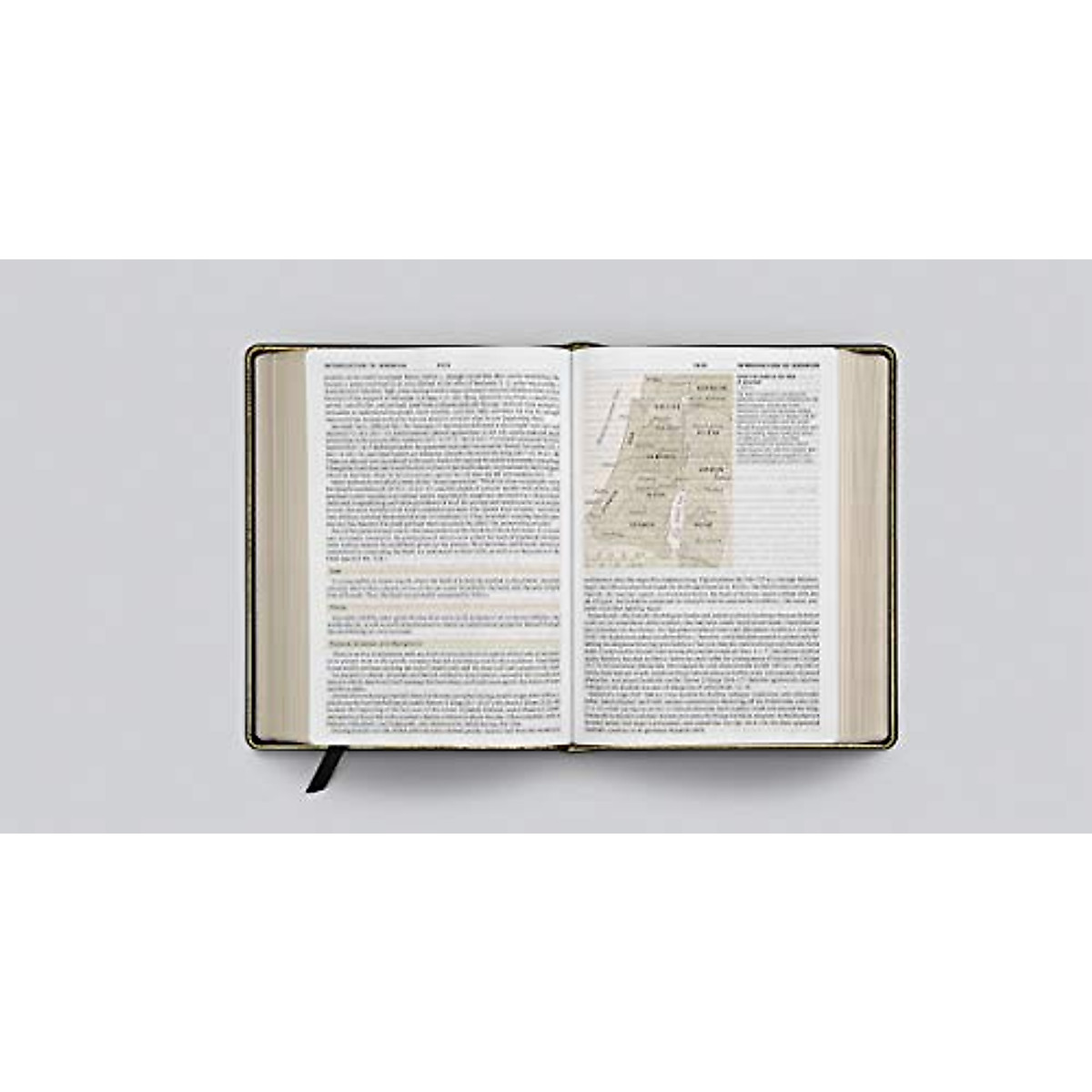 ESV Study Bible, Large Print (Genuine Leather, Black)