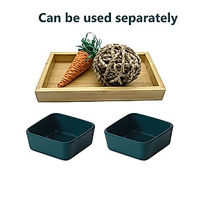 Acsist Hamster Bowl Guinea Pig Ceramic Water Bowl Hamster Food Dish Small Animal Bowl Prevent Knocking Over for Dwarf Hamster Syrian Hamster Rabbit Gerbil Chinchilla Hedgehog (Green)