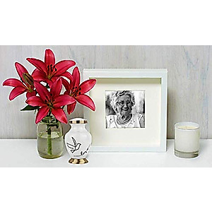 Trupoint Memorials Cremation Urns for Human Ashes - Decorative Urns, Urns for Human Ashes Female & Male, Urns for Ashes Adult Female, Funeral Urns - White, 4 Small Keepsakes
