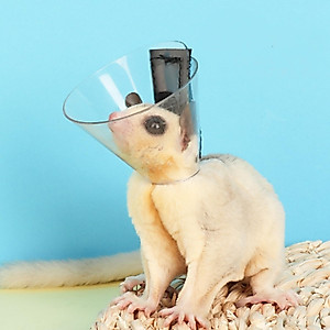 Sugar Glider Recovery Cone - Adjustable Protection Collar Soft Recovery Collar for Rat Bird Hamster Rabbit Guinea Pig After Surgery Wound Healing Elizabeth Neck E Collar for Small Animal (M (6-12cm))