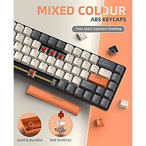 ZIYOU LANG RK68 60% Wireless Mechanical Keyboard, Bluetooth 5.0/2.4Ghz Dual Mode 2-in-1 USB-C Receiver Mini Mechanical Keyboard, Hot Swappable Red Switch Gaming Keyboard for PC/MAC/Laptops