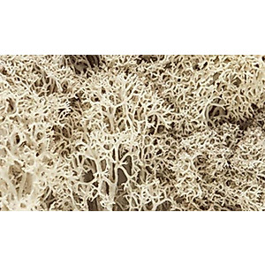 Lichen Bag, Natural, 1.5 qt