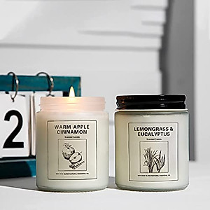 Candles, Apple Cinnamon and Lemongrass Eucalyptus Candles for Home Scented, 2 Pack Candles Gifts for Women, 15 oz Soy Candle, Scented Candles Gifts Set for Mother's Day, Valentine, Christma's Gifts…