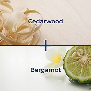 Kiss My Face Cedarwood + Bergamot Moisture Shave - 4 In 1 Shaving Cream - Cruelty Free and Vegan - With added Olive Oil and Aloe Leaf Extract - Vitamin E Rich - 11 fl oz Pump Bottle