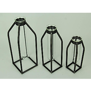 Modern Art Glass Tube Bud Vase with Metal Cage Frame Set of 3