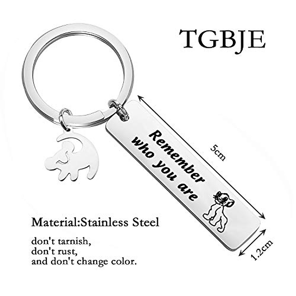 TGBJE Remember Who You Are Bracelet Inspired Bangle Lion King Gift for Friend (lion king keychain)