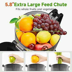 Cold Press Juicer,5.8" Extra Large Feed Chute Fit Whole Fruits & Vegetables,350W Slow Masticating Juicer Machines,Easy to Clean,High Juice Yield