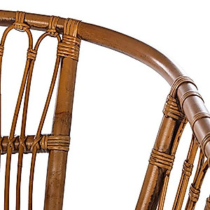 SAFAVIEH Home Adriana Coastal Honey Brown Wash Rattan (Set of 2) Accent Chair (ACH6505C-SET2)