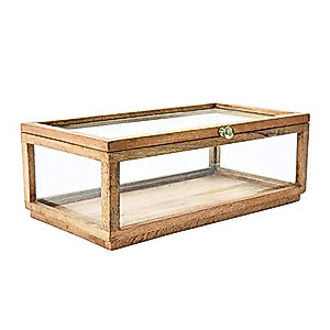 Creative Co-Op Mango Wood & Glass Display Lid Storage Box, Natural