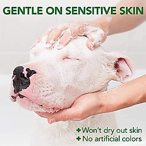 Vet's Best Allergy Itch Relief Dog Shampoo | Cleans and Relieves Discomfort from Seasonal Allergies | Gentle Formula | 16 Oz