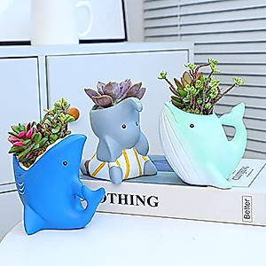 Succulent Pots - Small Succulent Planters Pots with Drainage Set of 6, Cute Cartoon Animal Planter Pots Ceramic Pots for Indoor Cactus Plants Tiny Flower Bonsai Planter Container for Home Garden